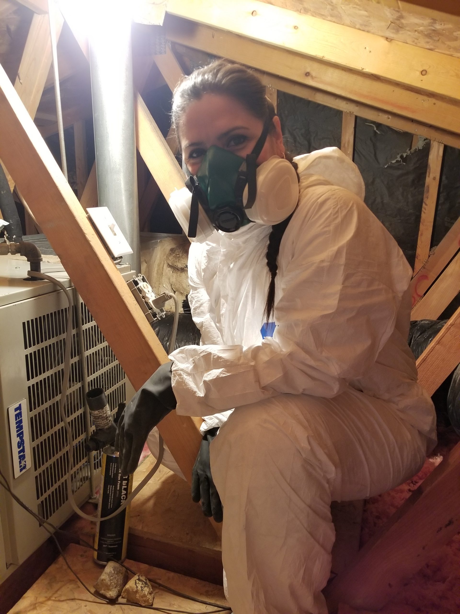 Attic Cleanup and Sanitization - Desert Squad Pest & Wildlife